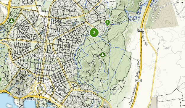 Best Trails in Mount Ainslie Nature Reserve - Australian Capital ...