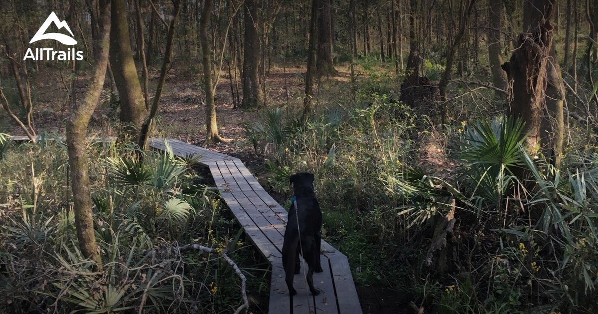 Best hikes and trails in Joe Budd Wildlife Management Area | AllTrails