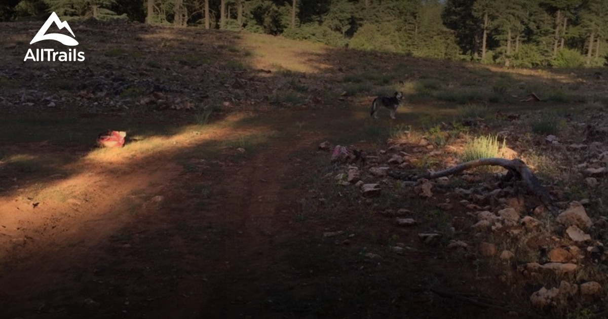 Best Trails in Ifrane National Park Morocco | AllTrails