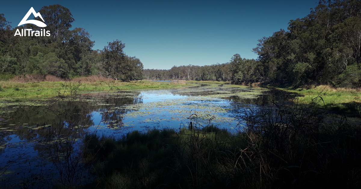 10 Best hikes and trails in Lake Manchester Reservoir | AllTrails
