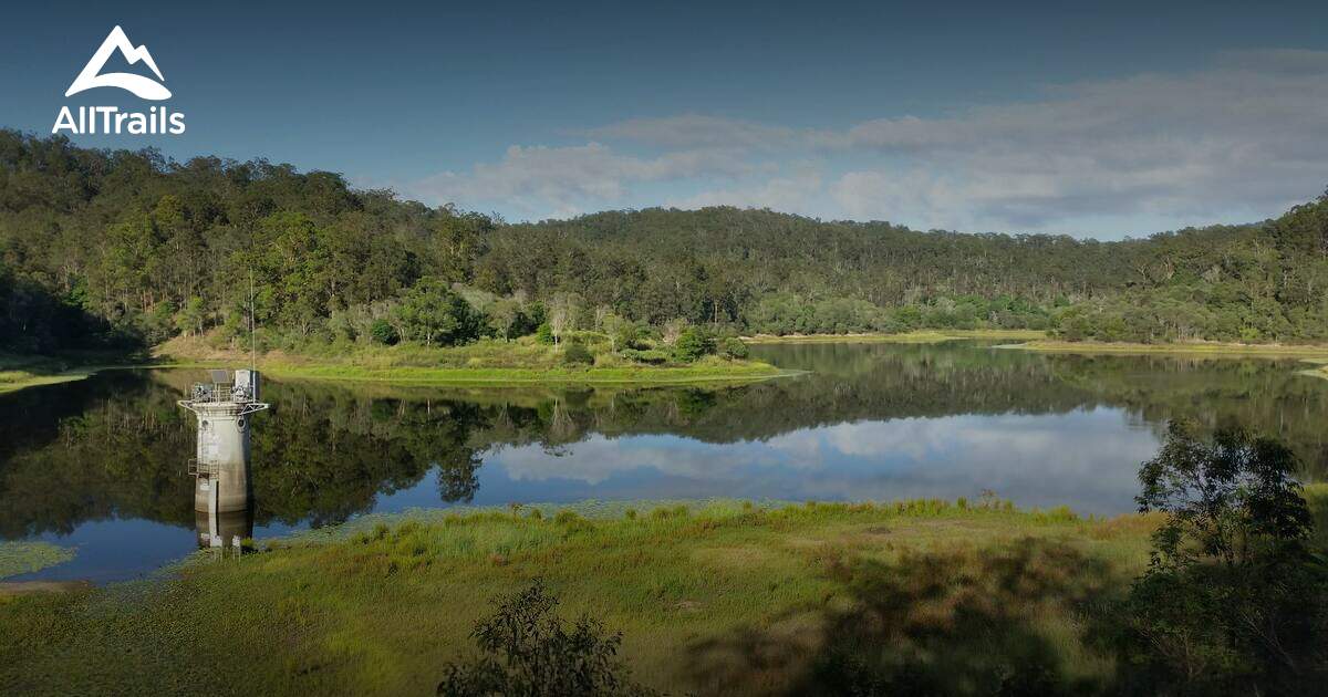Best lake trails in Gold Creek Reservoir | AllTrails