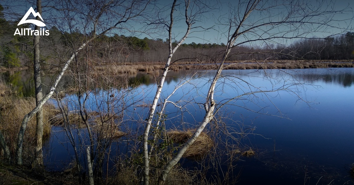 Best Trails in Black Run Nature Preserve - New Jersey | AllTrails