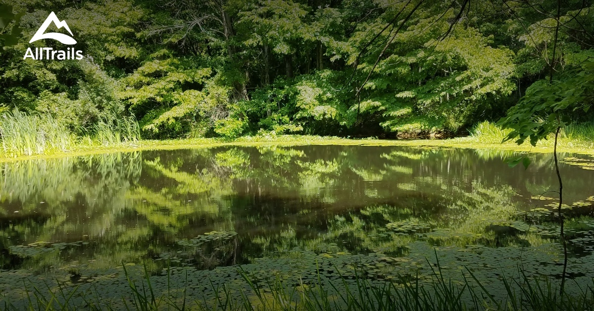 Best moderate trails in Boch Hollow Nature Preserve | AllTrails