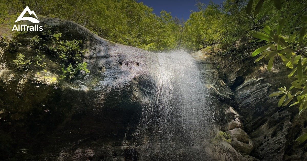 Best hikes and trails in Dr. Thomas Walker Civic Park | AllTrails