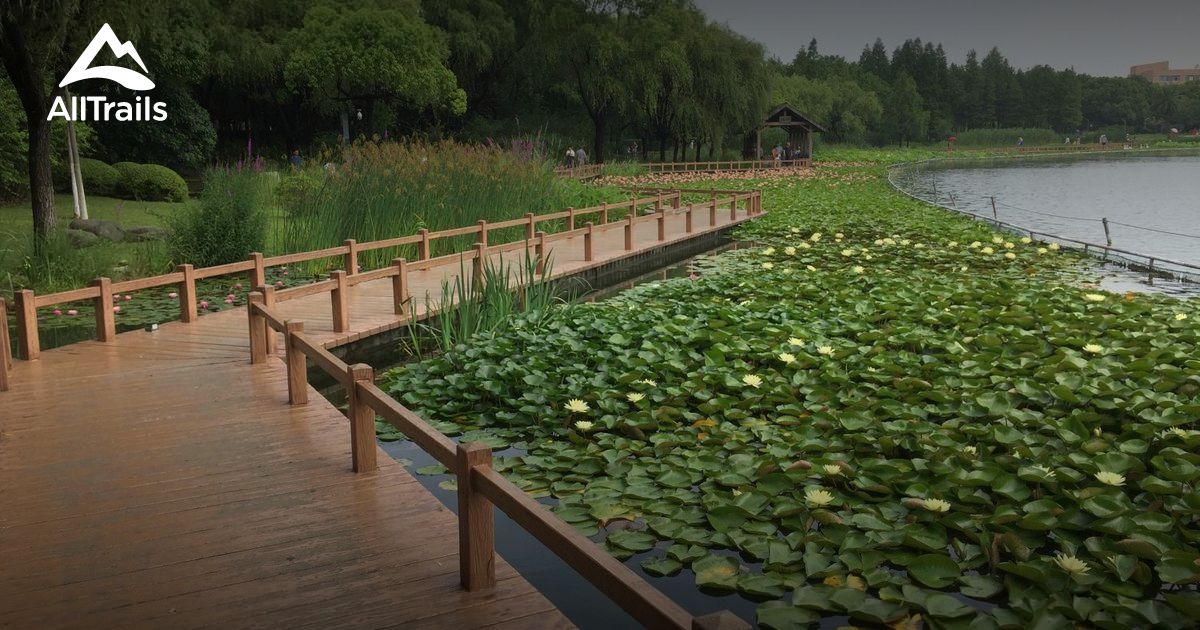 Best hikes and trails in Minhang Sports Park | AllTrails