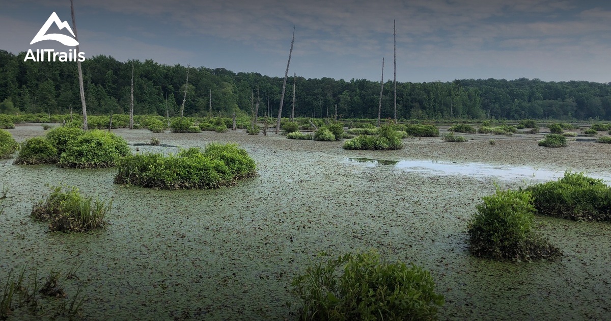 Die Besten Flusswege in Georgia International Horse Park | AllTrails
