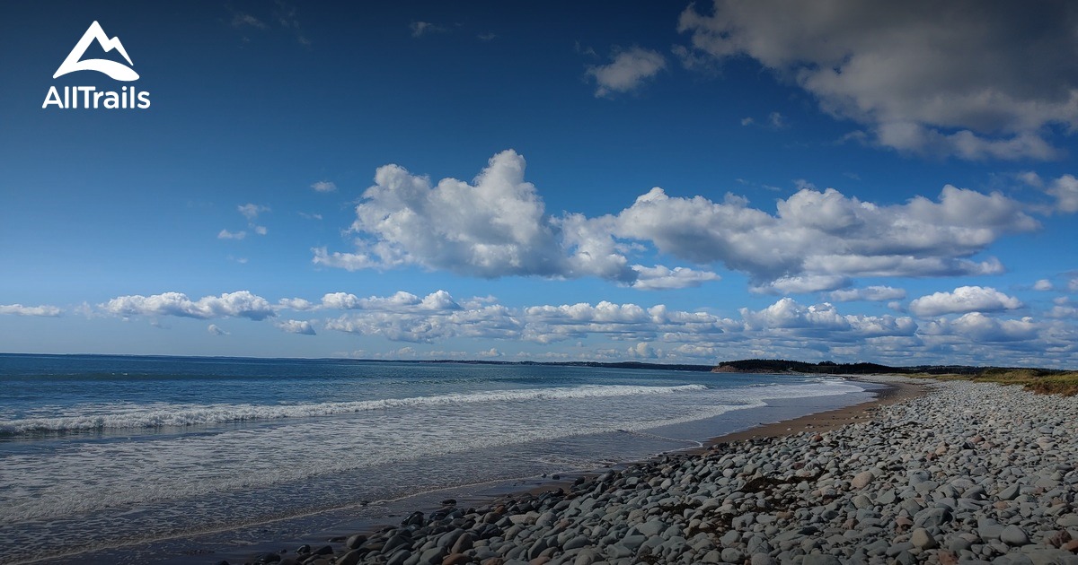 Best easy trails in Lawrencetown Beach Provincial Park | AllTrails