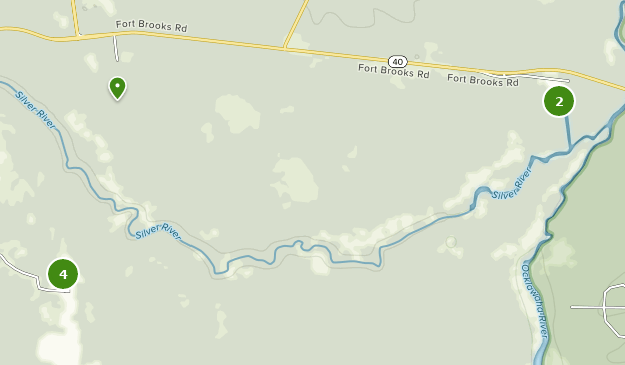 Best Trails in Silver Springs State Park - Florida | AllTrails