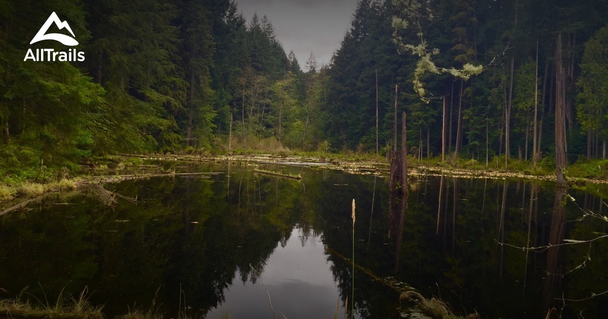 Best Trails in Redmond Watershed Preserve - Washington | AllTrails