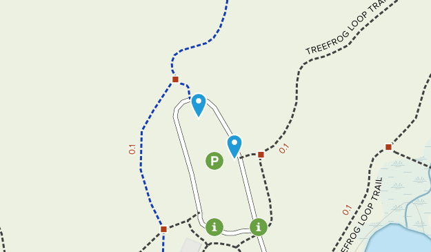 Best Trails in Redmond Watershed Preserve - Washington | AllTrails