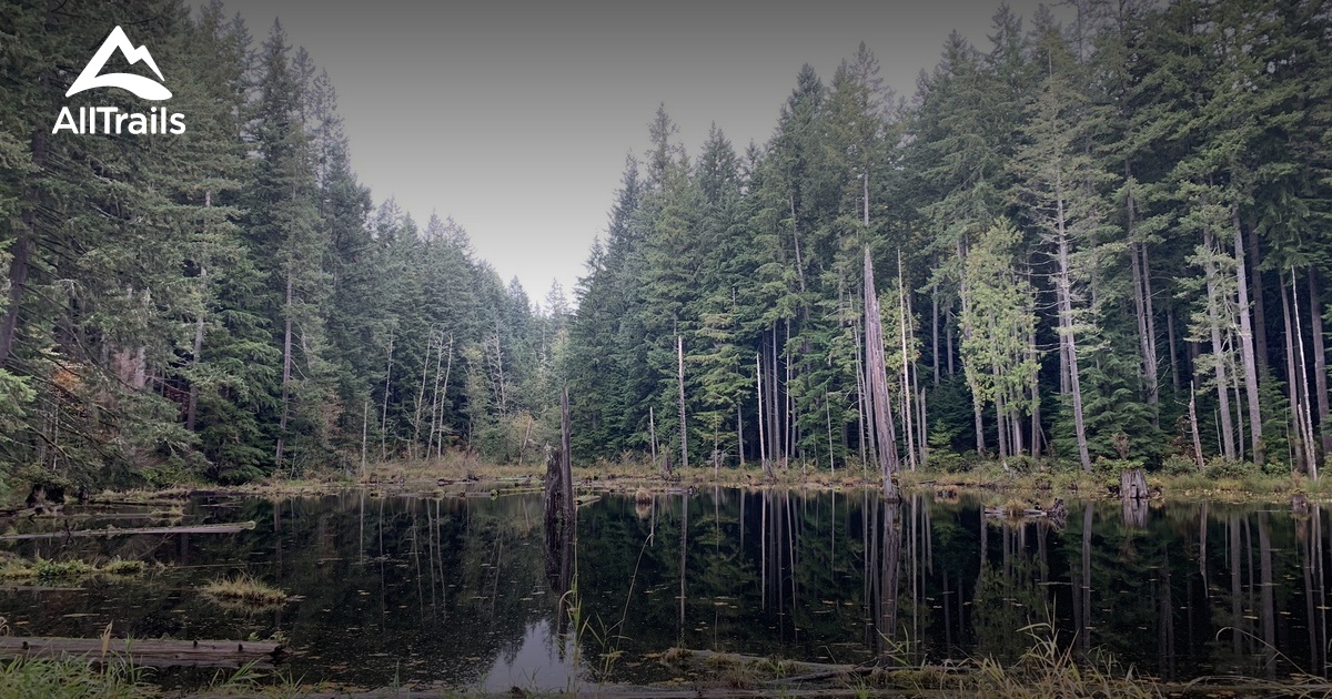 Best Trails in Redmond Watershed Preserve - Washington | AllTrails