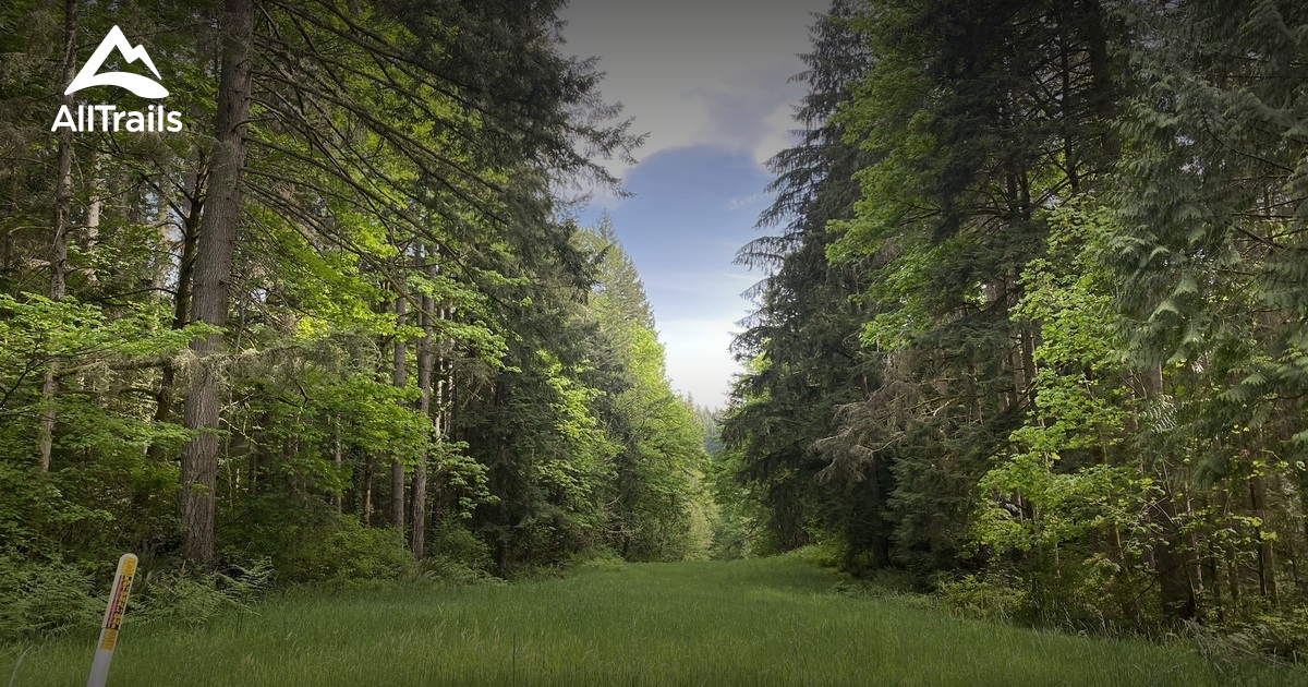 Best Trails in Redmond Watershed Preserve - Washington | AllTrails