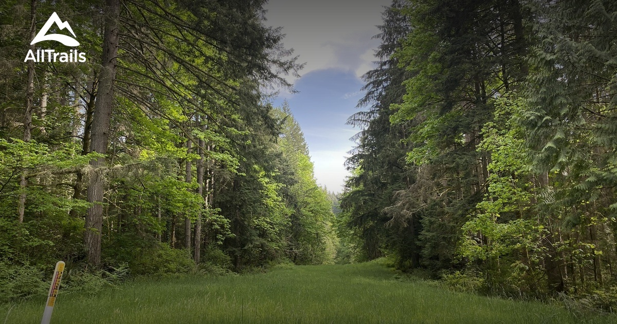 Best hikes and trails in Redmond Watershed Preserve | AllTrails