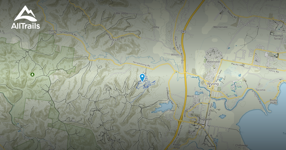 Best Trails in Ourimbah State Forest - New South Wales, Australia ...