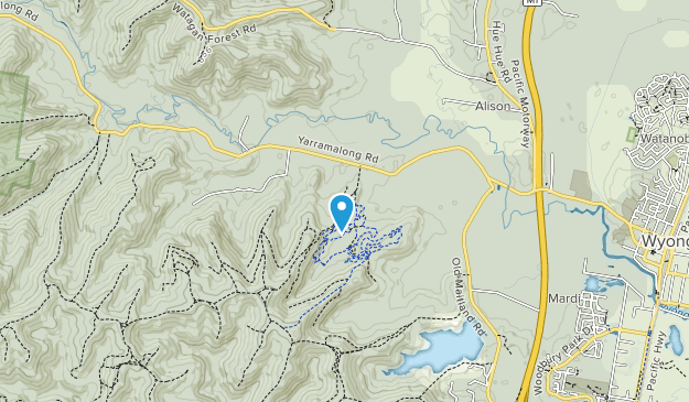 Best Trails in Ourimbah State Forest - New South Wales, Australia ...