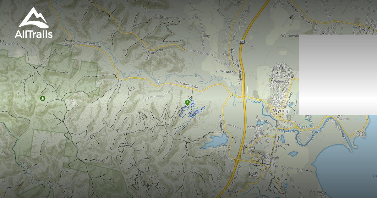 Best Trails in Ourimbah State Forest - New South Wales, Australia ...