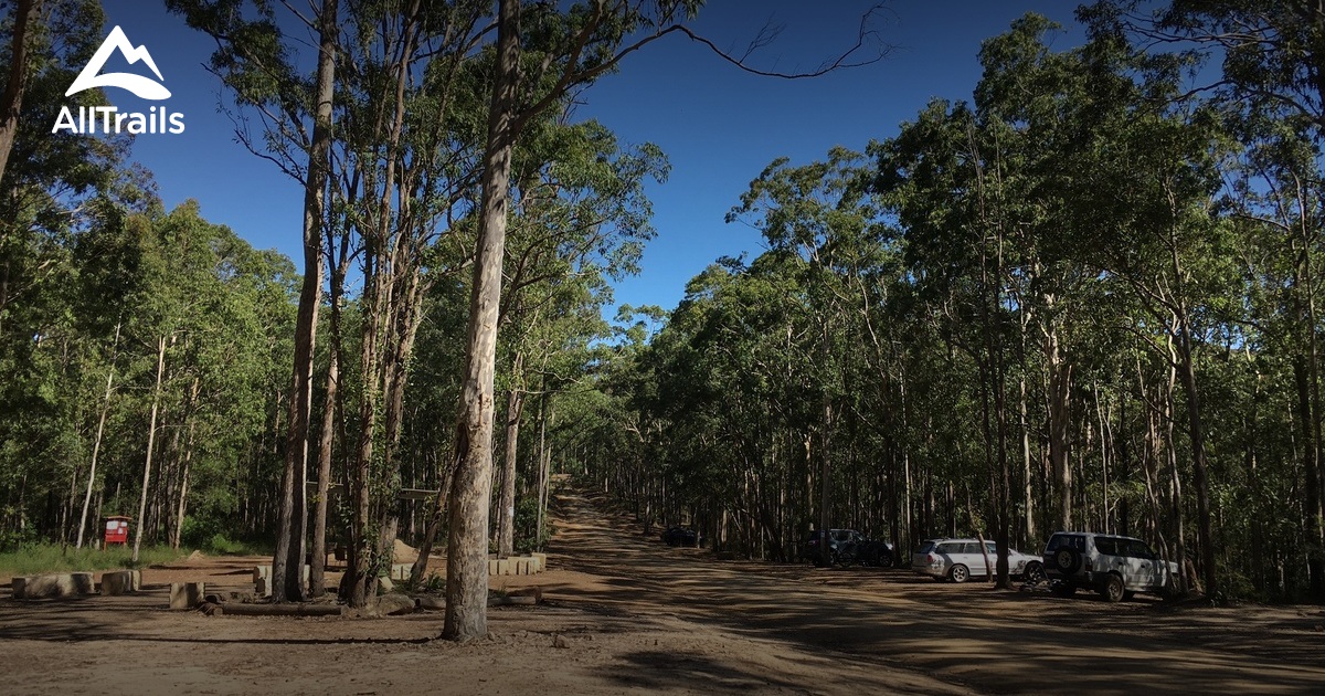 Best Trails in Ourimbah State Forest - New South Wales, Australia ...