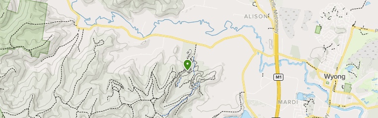 Best Trails in Ourimbah State Forest - New South Wales, Australia ...