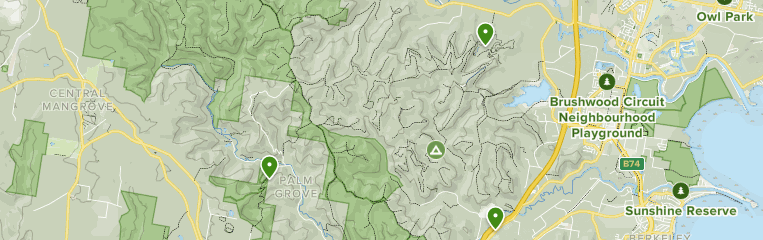 Best Hikes and Trails in Ourimbah State Forest | AllTrails