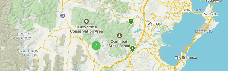 Best Hikes and Trails in Ourimbah State Forest | AllTrails