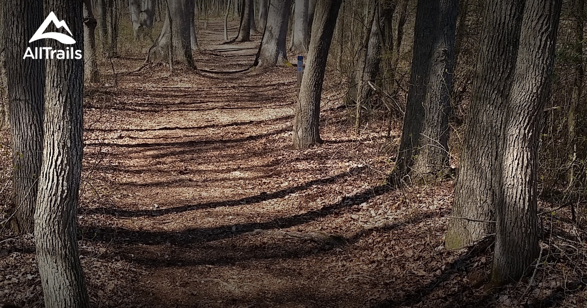 Best Trails in Blackbird State Forest - Delaware | AllTrails