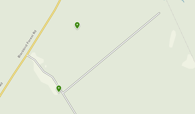 Best Trails in Blackbird State Forest - Delaware | AllTrails