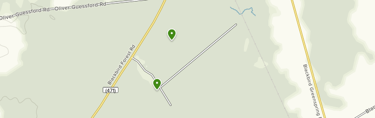 Best Trails in Blackbird State Forest - Delaware | AllTrails