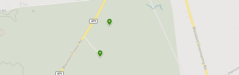 Best Trails in Blackbird State Forest - Delaware | AllTrails