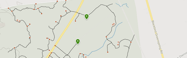 Best trails in Blackbird State Forest, Delaware | AllTrails