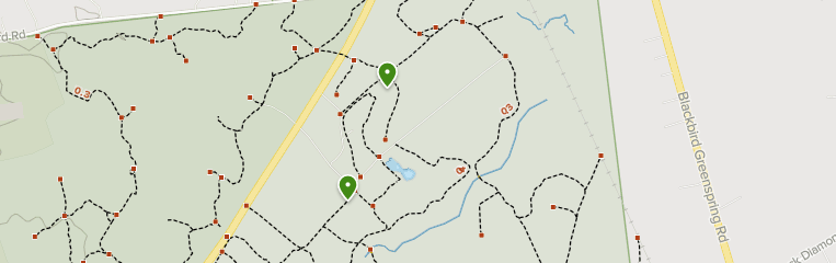 De beste routes in Blackbird State Forest | AllTrails