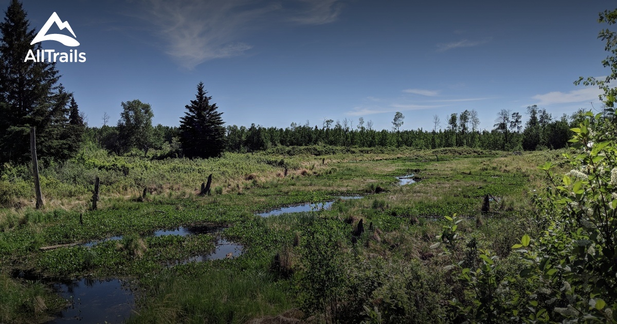 Best Trails in Cooking Lake/Blackfoot Provincial Recreation Area ...