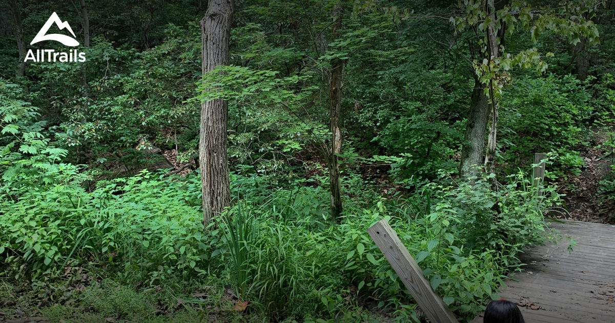 Best hikes and trails in Crows Woods Recreation Area | AllTrails