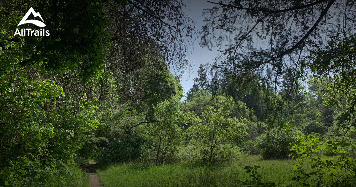 10 Best views trails in Pogonip Open Space Preserve | AllTrails