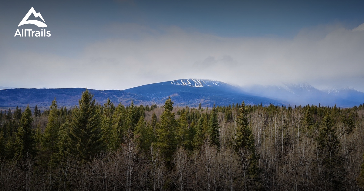 Best hikes and trails in Call Lake Provincial Park | AllTrails