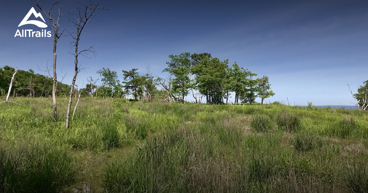 10 Best forest trails in State Game Land 217 | AllTrails