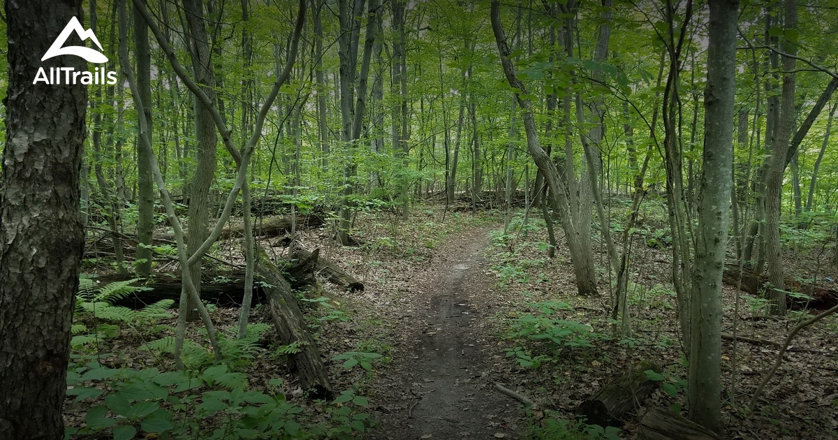 Best forest trails in Holliday Nature Preserve | AllTrails