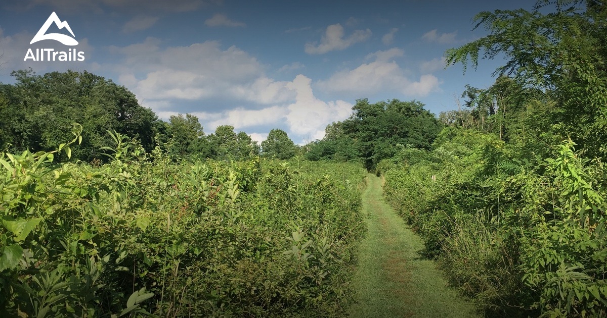 Best hikes and trails in Withrow Nature Preserve | AllTrails