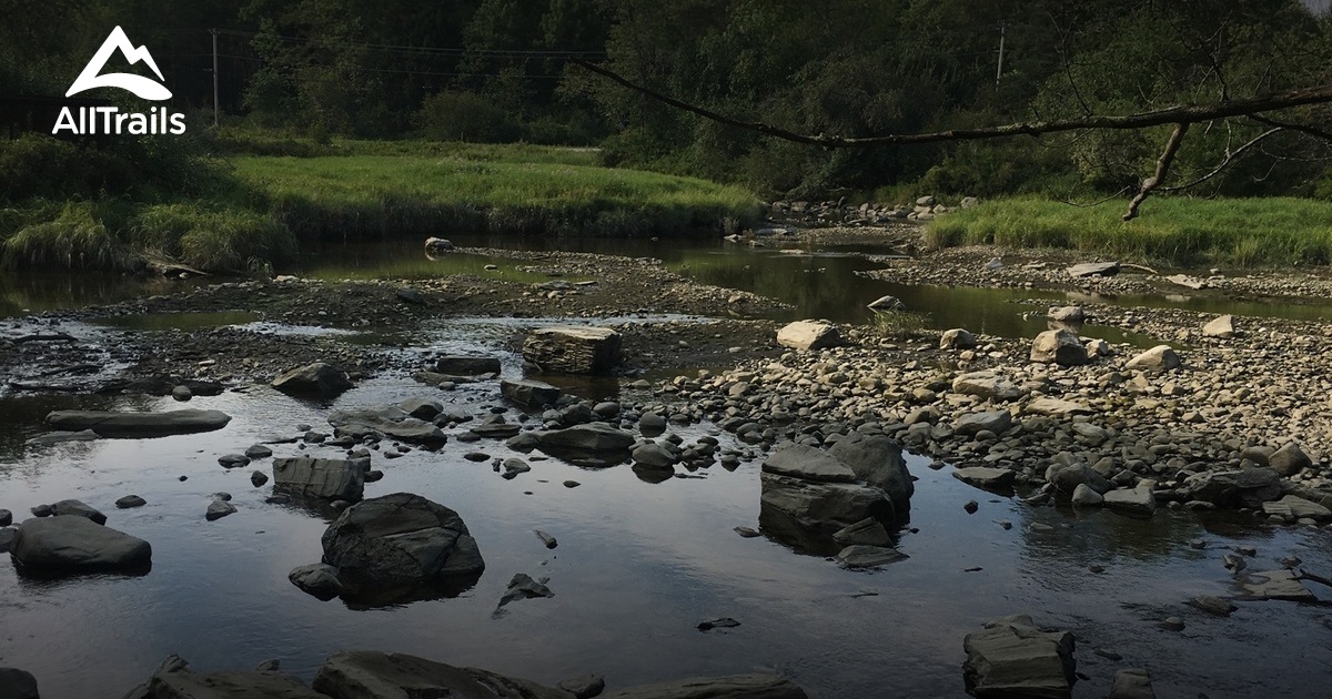 Die Besten Flusswege in Head of Tide Preserve | AllTrails