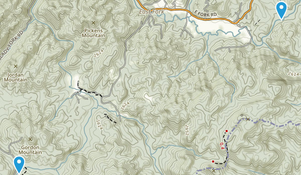 Best Trails in Headwaters State Forest - North Carolina | AllTrails