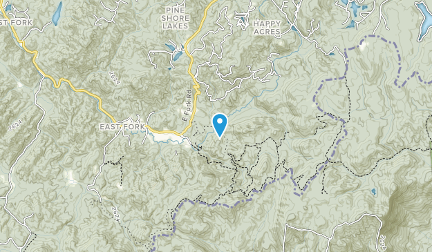 Best Trails in Headwaters State Forest - North Carolina | AllTrails