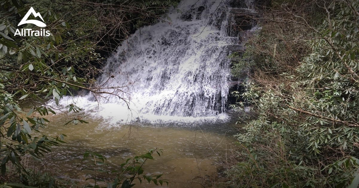Best Trails in Headwaters State Forest - North Carolina | AllTrails