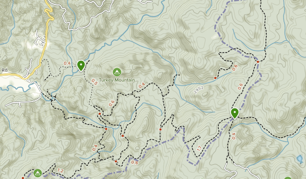 Best Trails in Headwaters State Forest - North Carolina | AllTrails