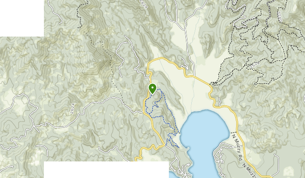 Best Trails in McKenzie Conservation Area - Washington | AllTrails