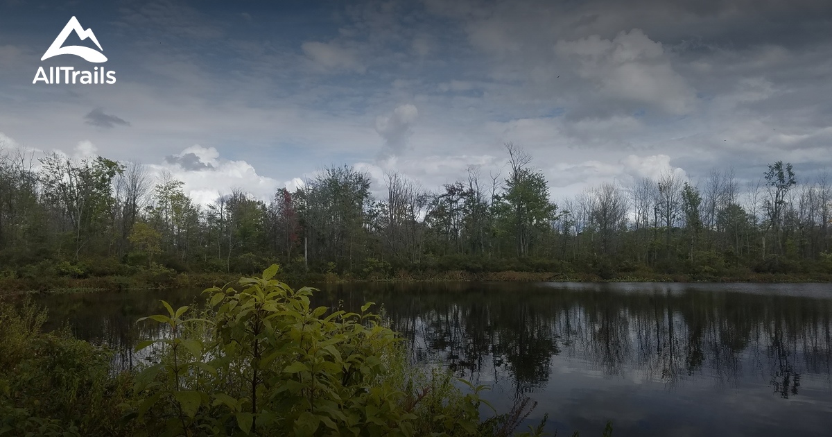 Best hikes and trails in Spicer Lake Nature Preserve | AllTrails