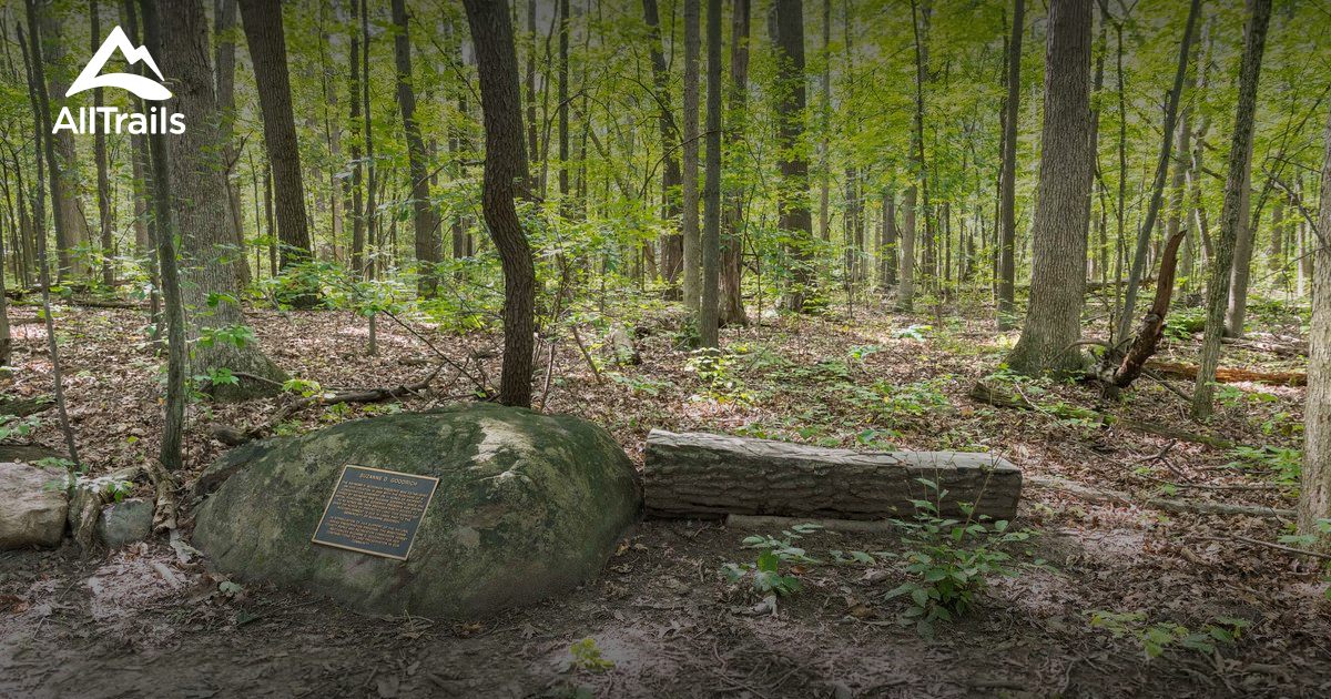 Best hikes and trails in Raymond F. Goodrich Preserve | AllTrails