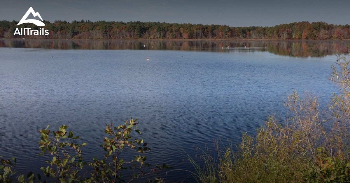 Best hikes and trails in Burrage Pond Wildlife Management Area | AllTrails