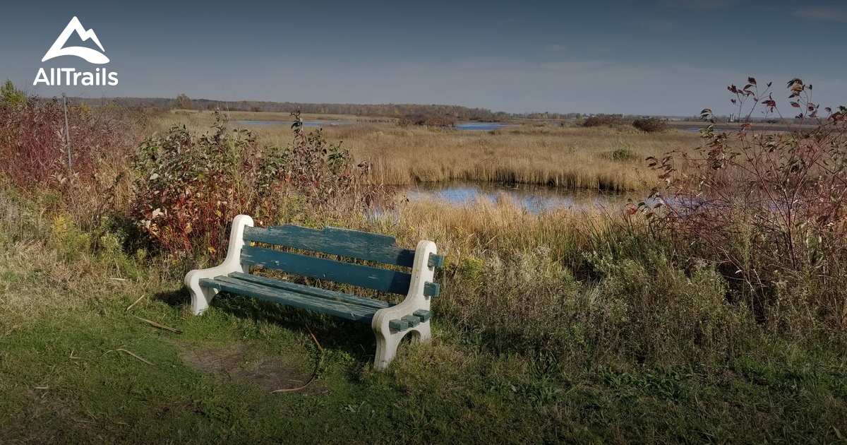 Best hikes and trails in Tiny Marsh Provincial Wildlife Area | AllTrails