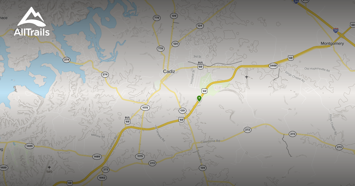 Best hikes and trails in Cadiz Recreation Area | AllTrails