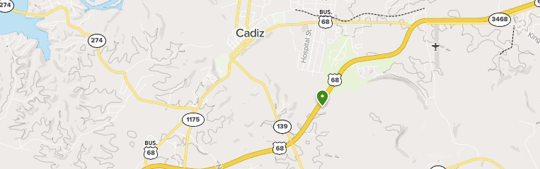 Best Hikes and Trails in Cadiz Recreation Area | AllTrails
