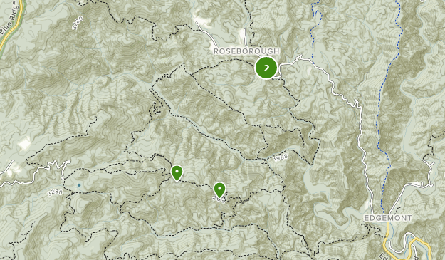Best Trails in Lost Cove Wilderness Study Area - North Carolina | AllTrails